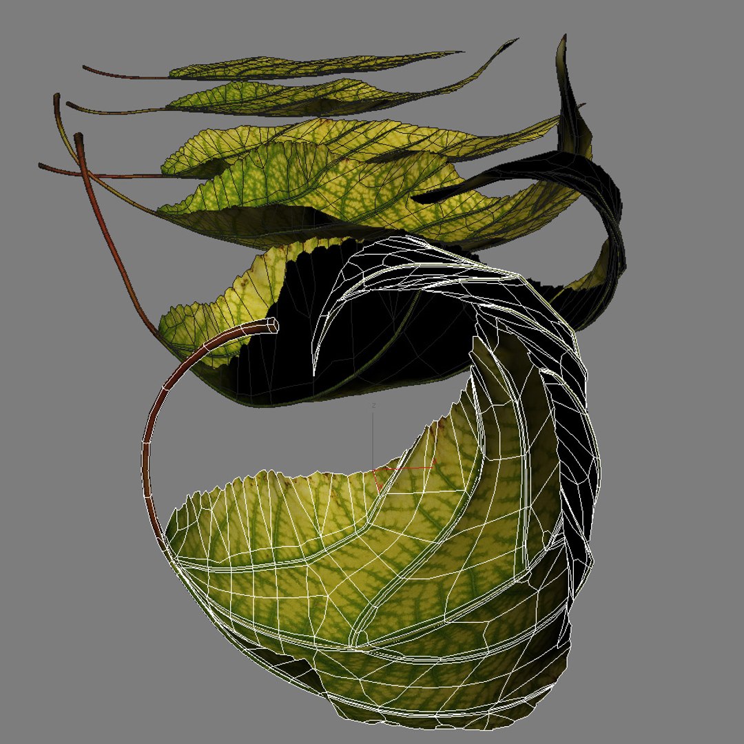 3ds max autumn leaf