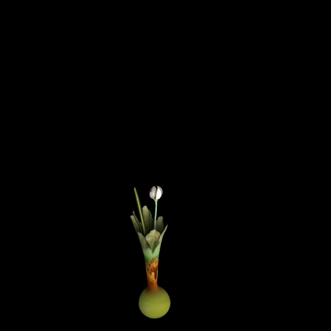 Flowers Open Animation 3D - TurboSquid 1587000