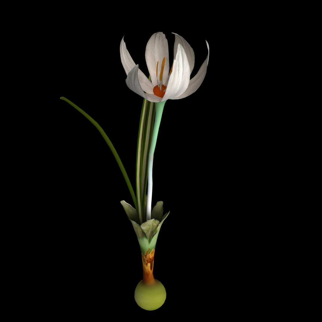 Flowers Open Animation 3D - TurboSquid 1587000