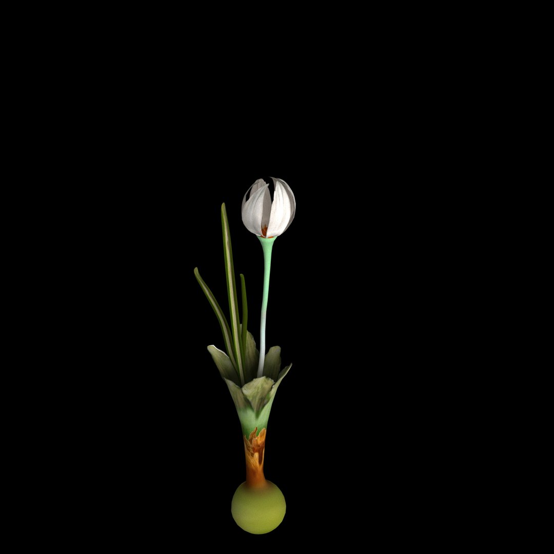 Flowers Open Animation 3D - TurboSquid 1587000