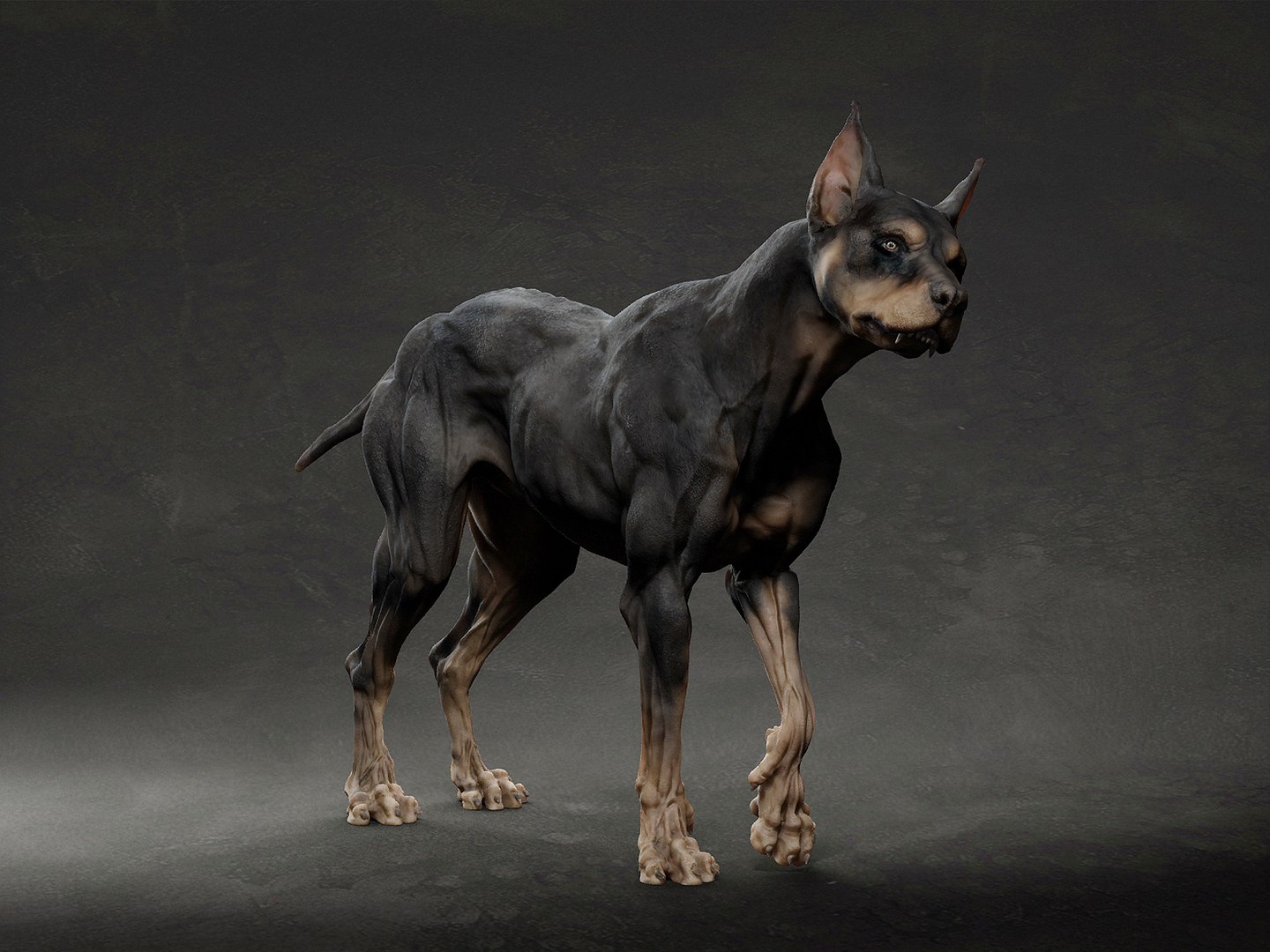 Dog Animal 3D - TurboSquid 1683617