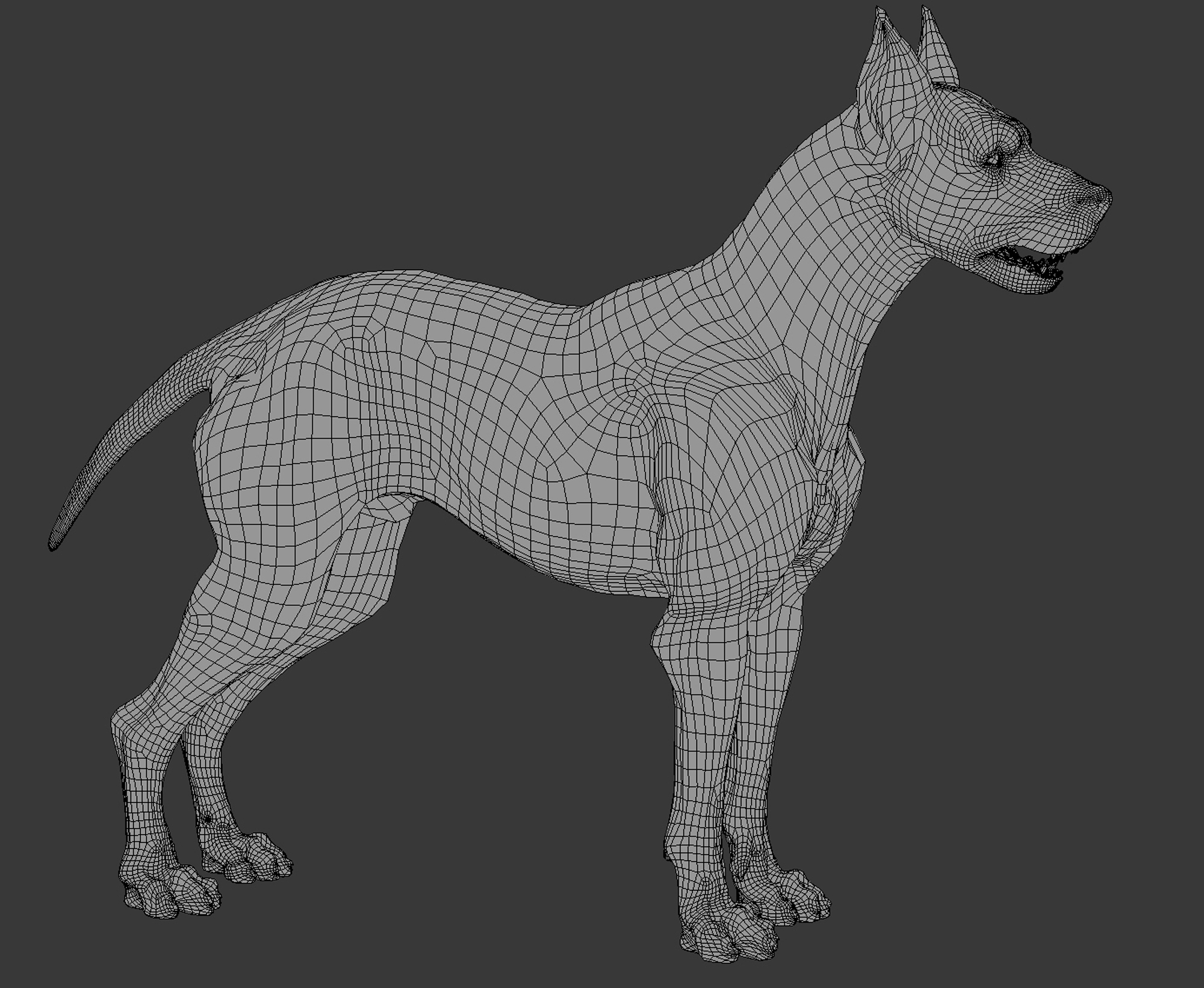 Cão Modelo 3D - TurboSquid 1683617