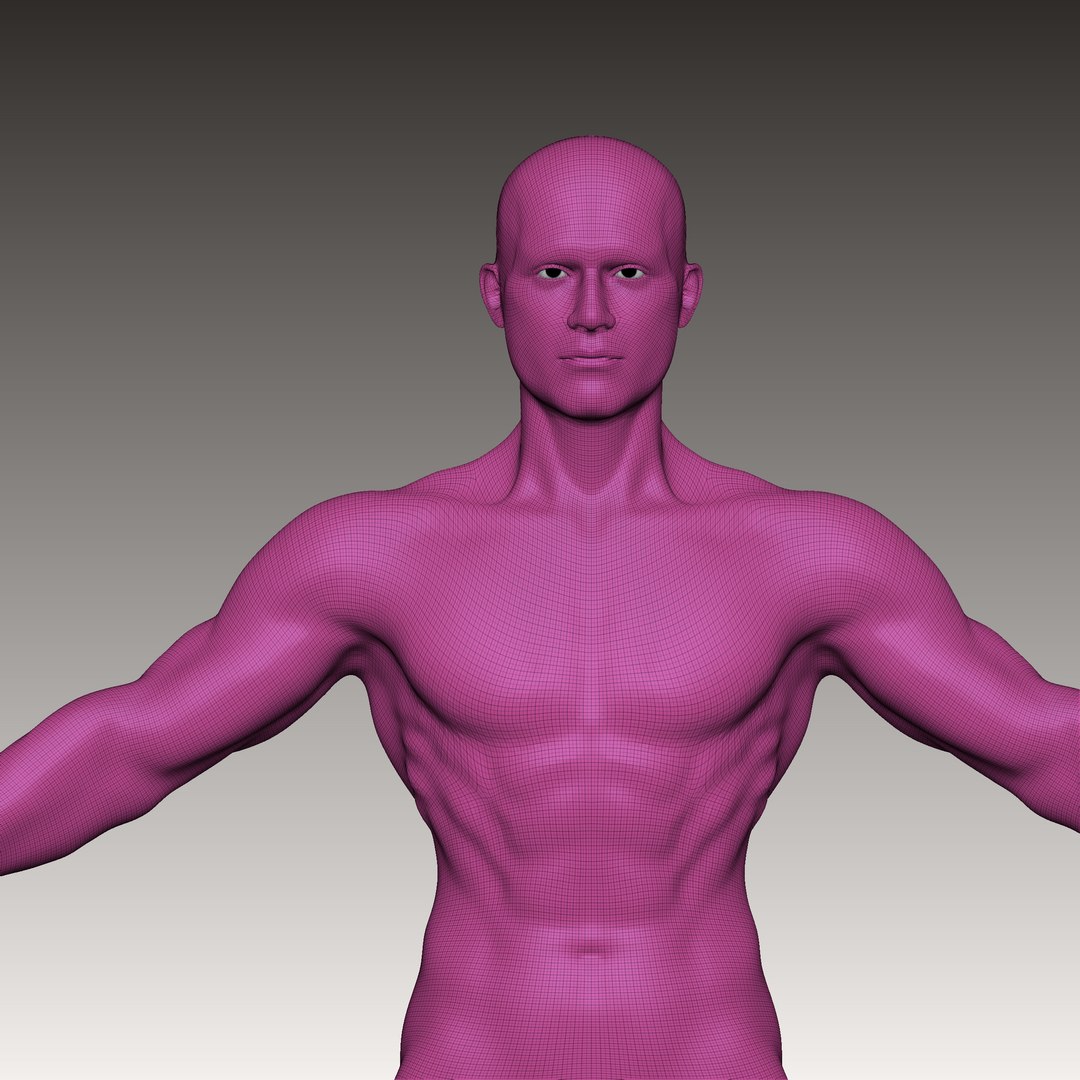 3D Model T POSE Base Body Man Cuerpo Base Hombre - TurboSquid 2252994