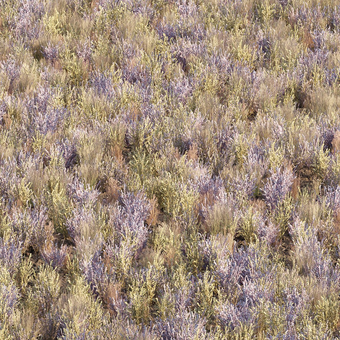 3D Low Poly Wild Grass Collection Vol 201 - TurboSquid 2057727