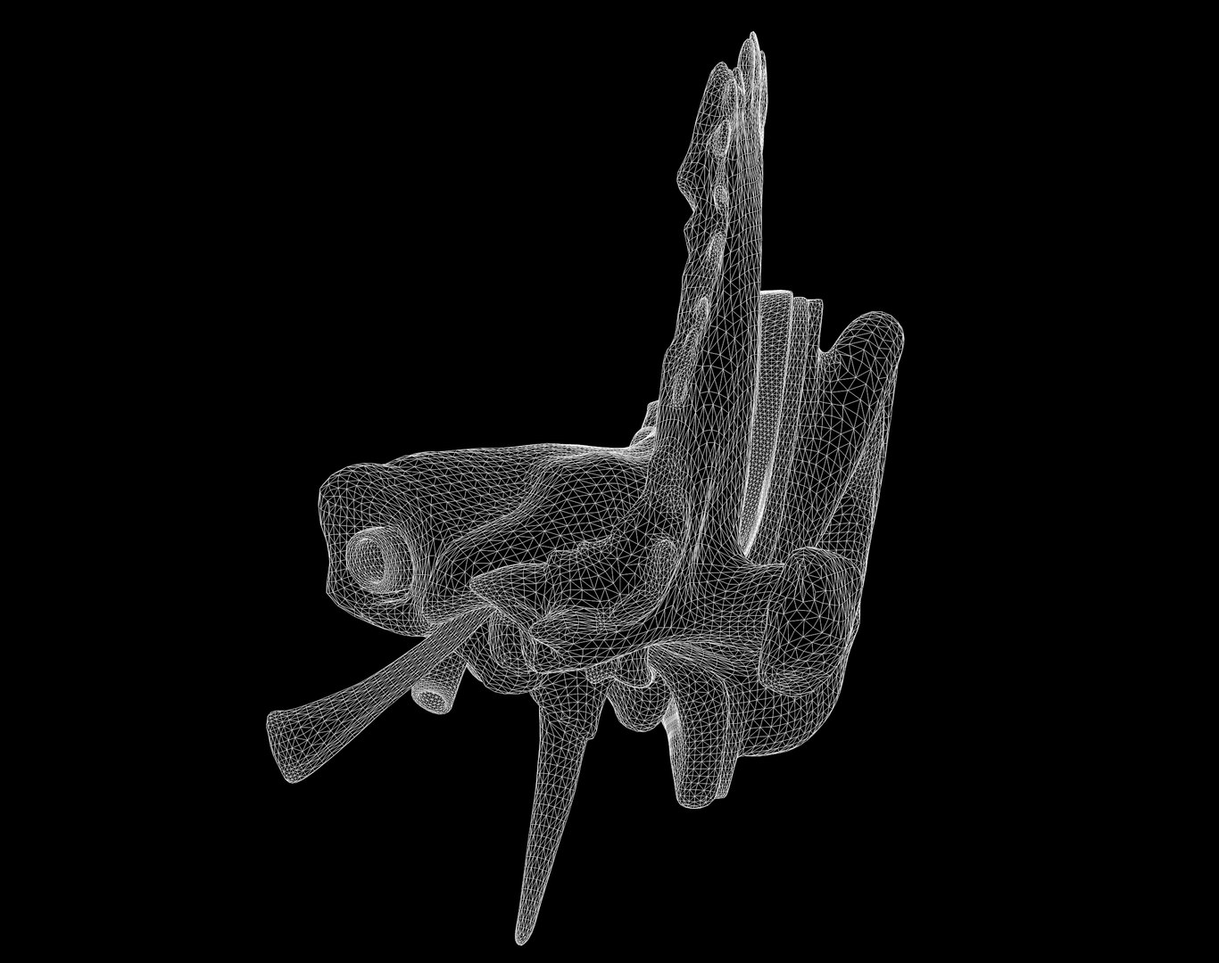 Anatomy Ear 3D - TurboSquid 1696378