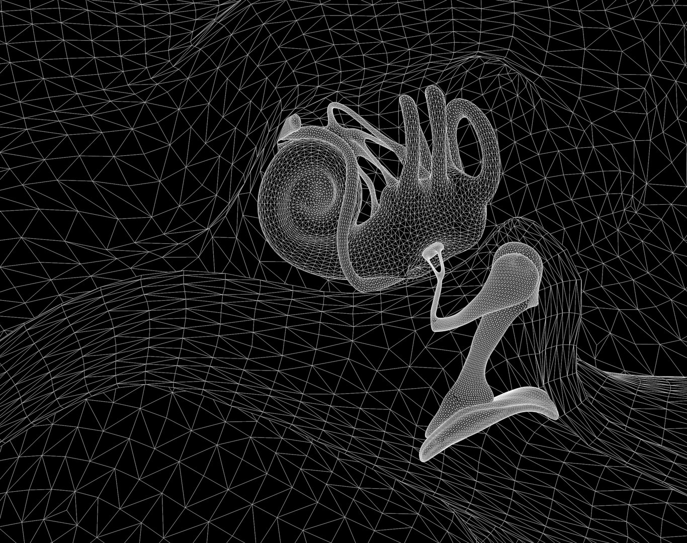Anatomy Ear 3D - TurboSquid 1696378