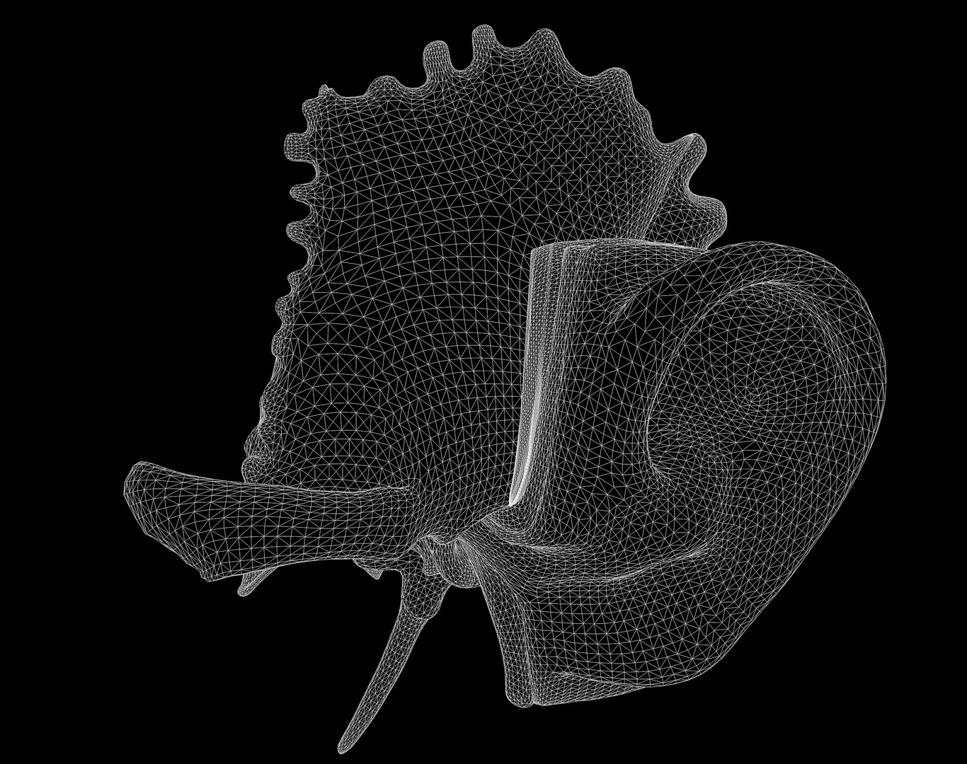 Anatomy Ear 3D - TurboSquid 1696378
