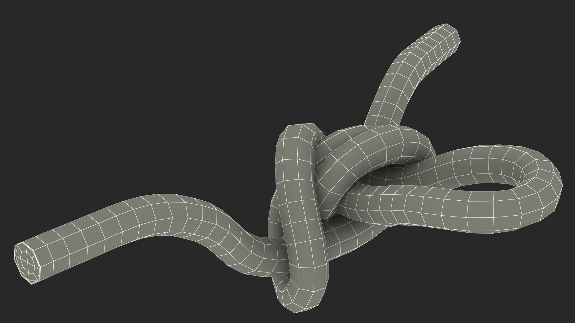 Alpine butterfly loop rope 3D - TurboSquid 1650026