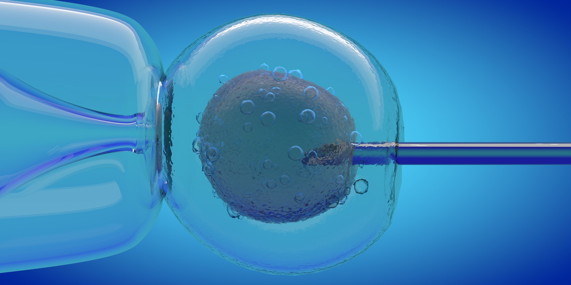 3D Ivf Cell - TurboSquid 1492092