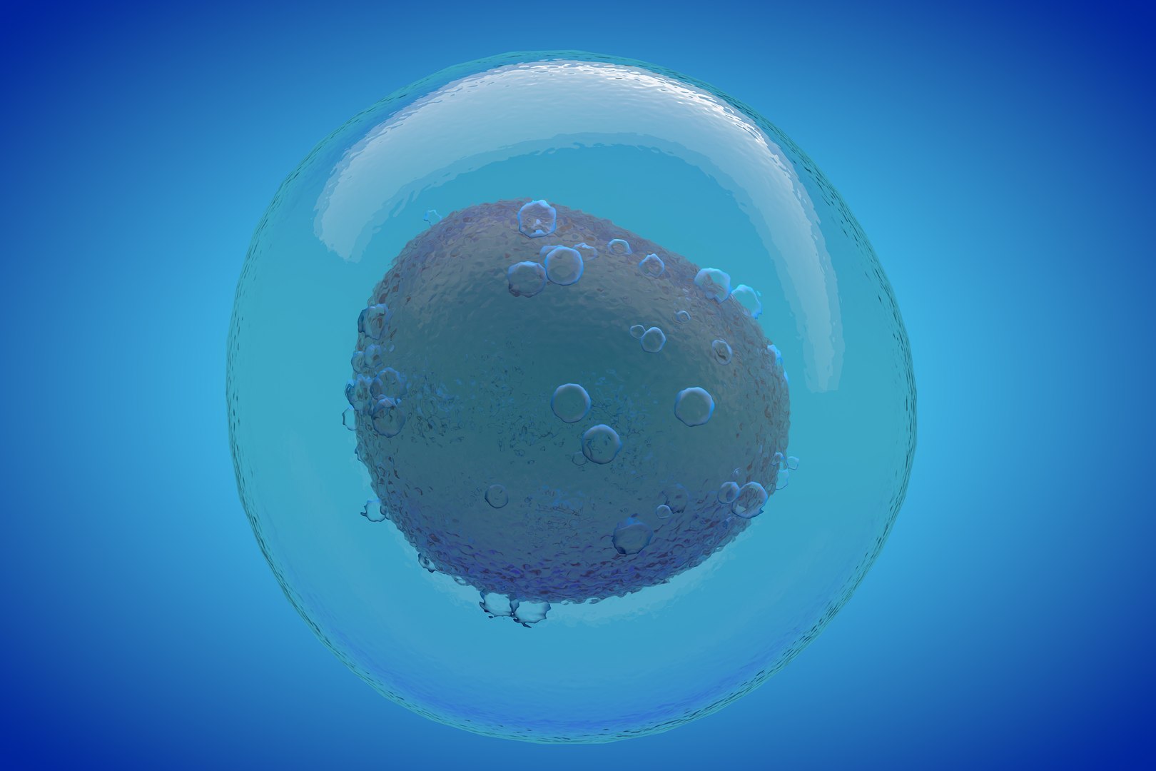 3D Ivf Cell - TurboSquid 1492092