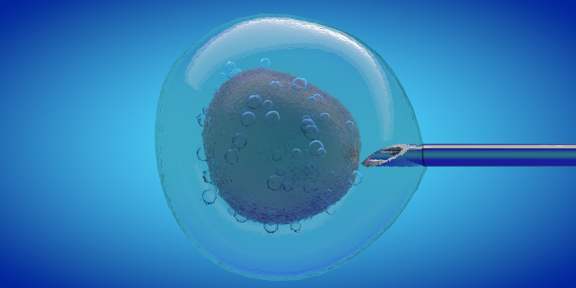 3D Ivf Cell - TurboSquid 1492092