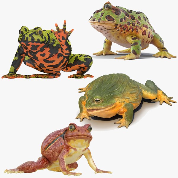 3D Bullfrogs Models | TurboSquid