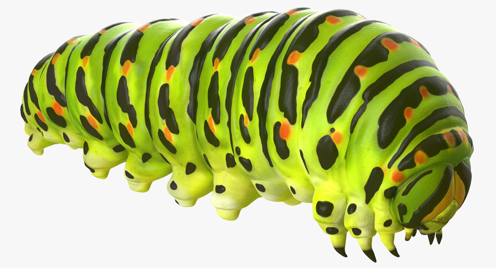 3d C4d Caterpillar