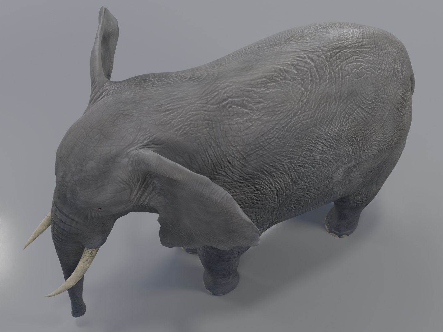3D African Elephant - TurboSquid 1271695