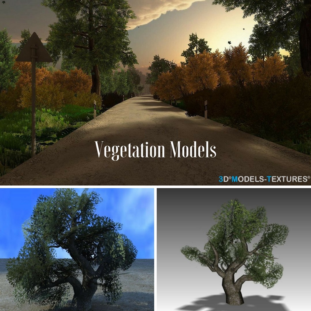 3D Model Vegetation Trees - TurboSquid 1209485