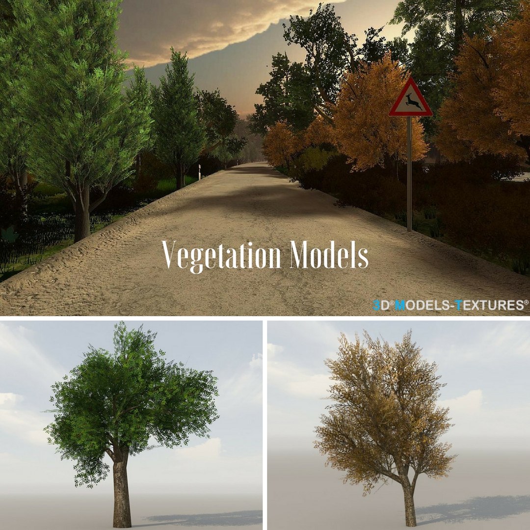 3D Model Vegetation Trees - TurboSquid 1209485
