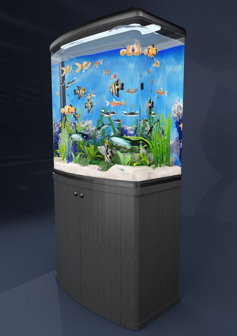 Box Aquarium 3D Model - TurboSquid 1318556