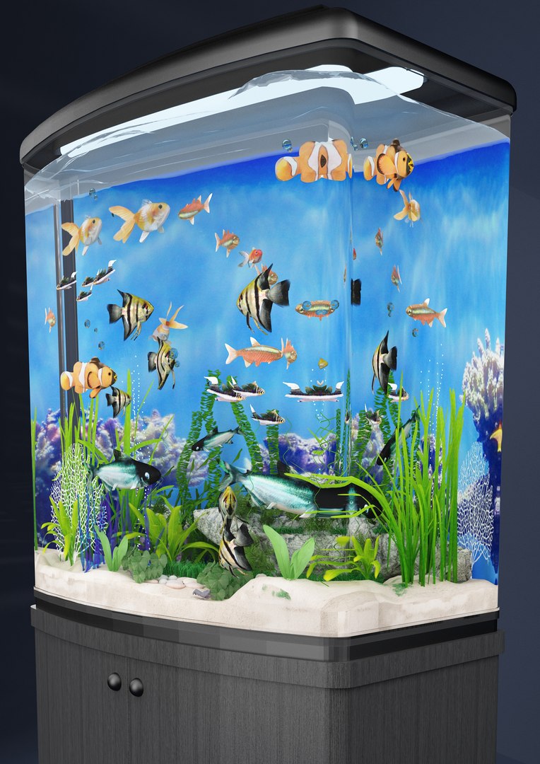 Box Aquarium 3D Model - TurboSquid 1318556
