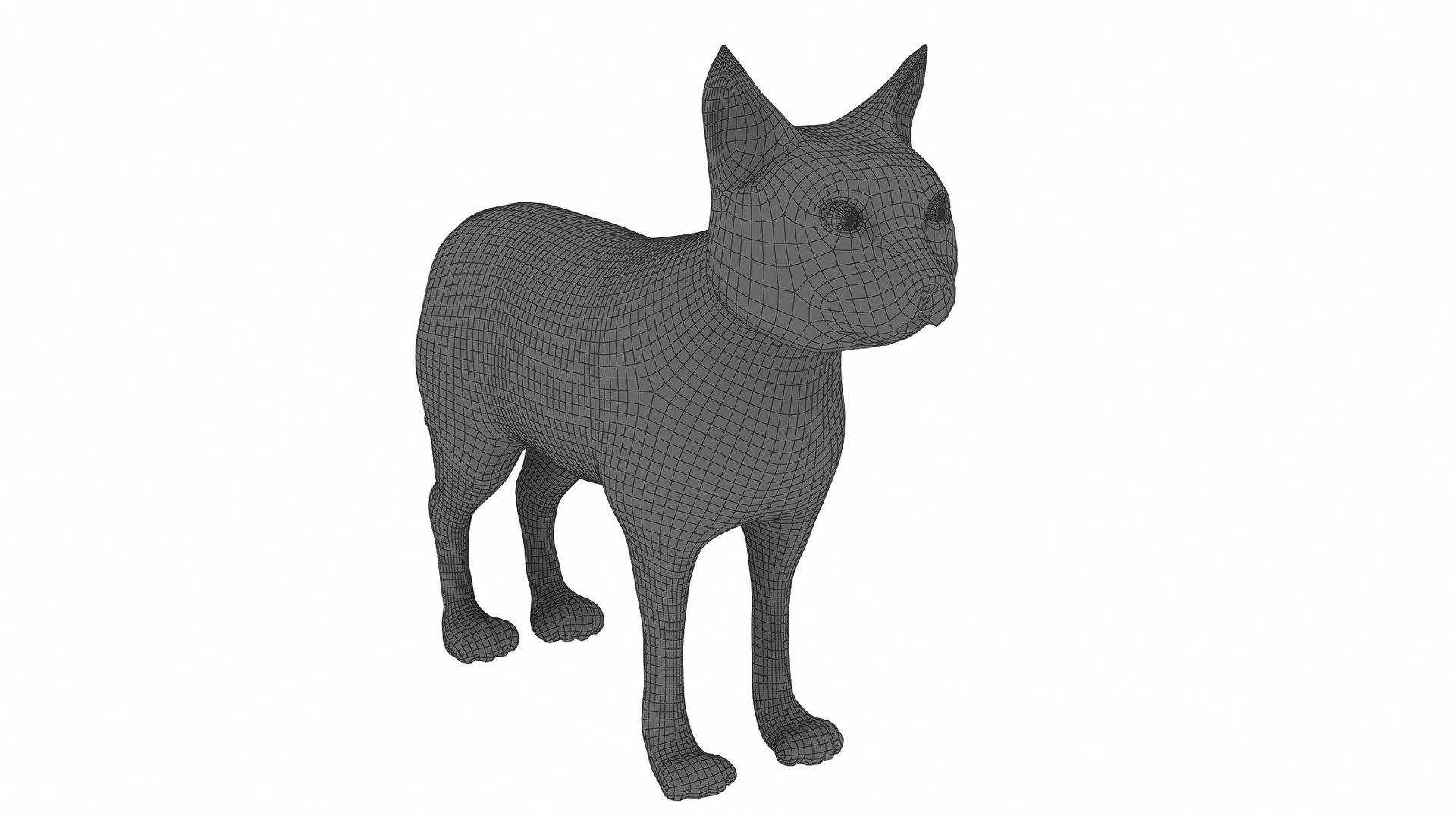 Realistic Cat Fur 3D Model - TurboSquid 1446807