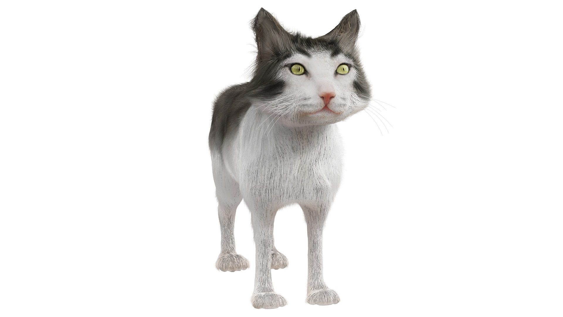 Realistic Cat Fur 3D Model - TurboSquid 1446807