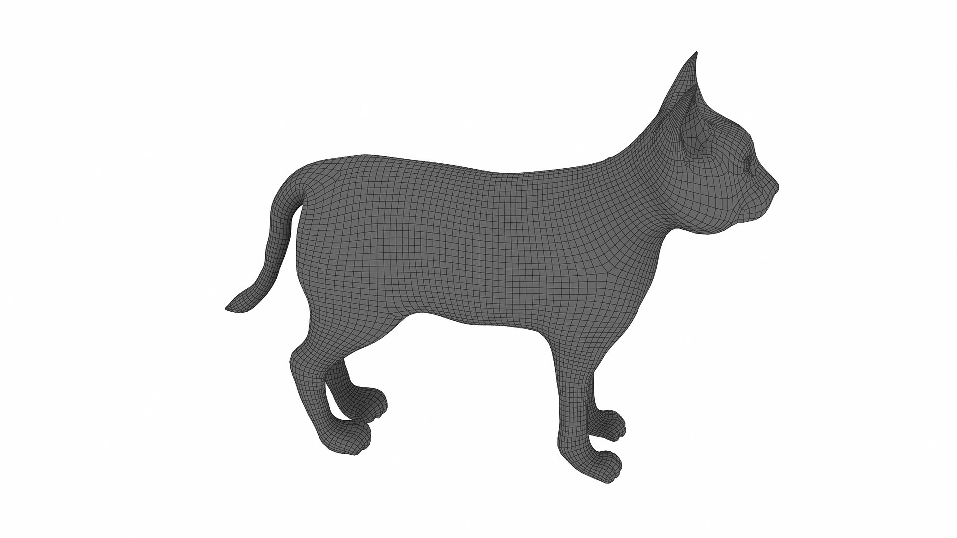 Realistic Cat Fur 3D Model - TurboSquid 1446807