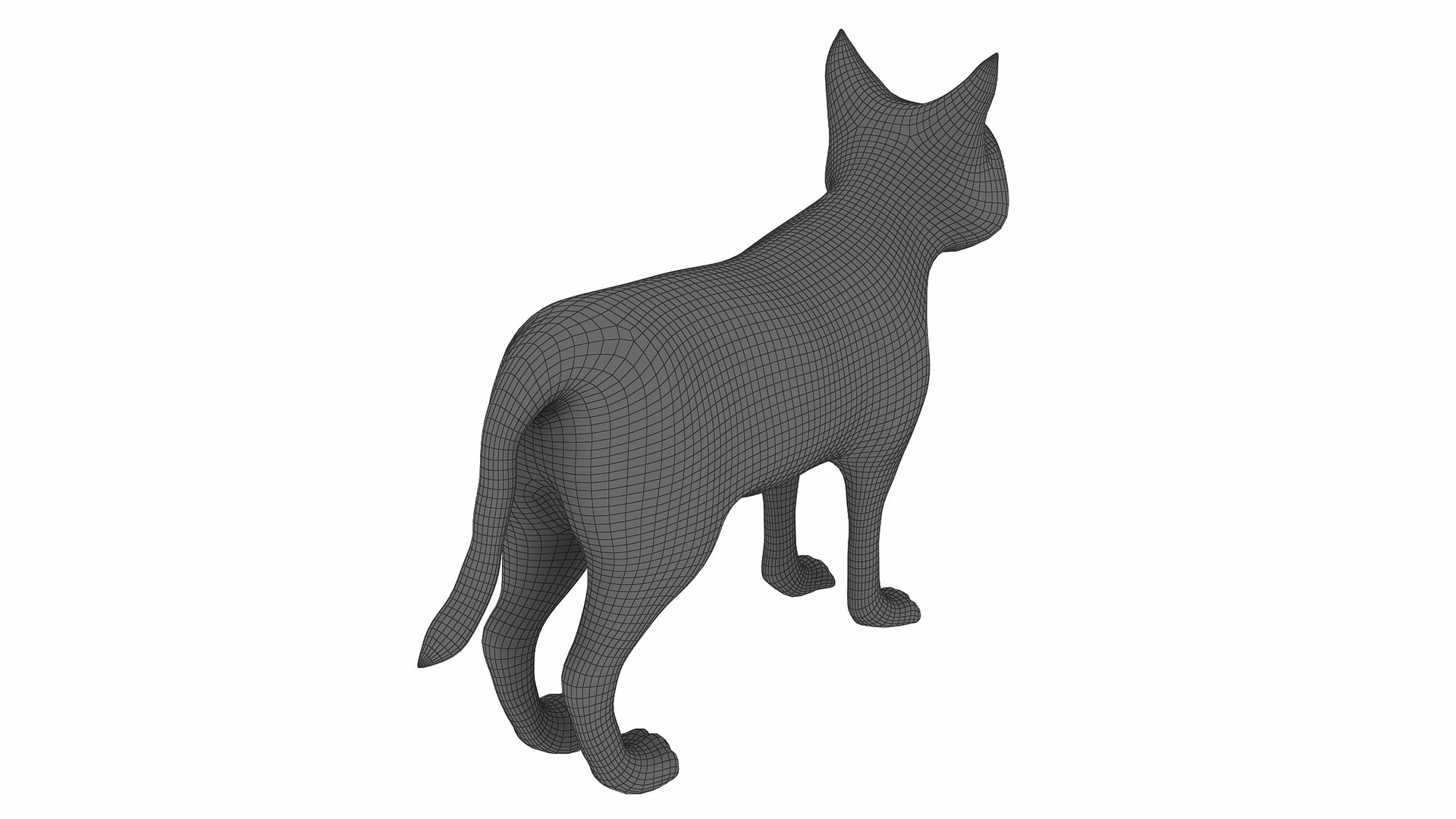 Realistic Cat Fur 3D Model - TurboSquid 1446807
