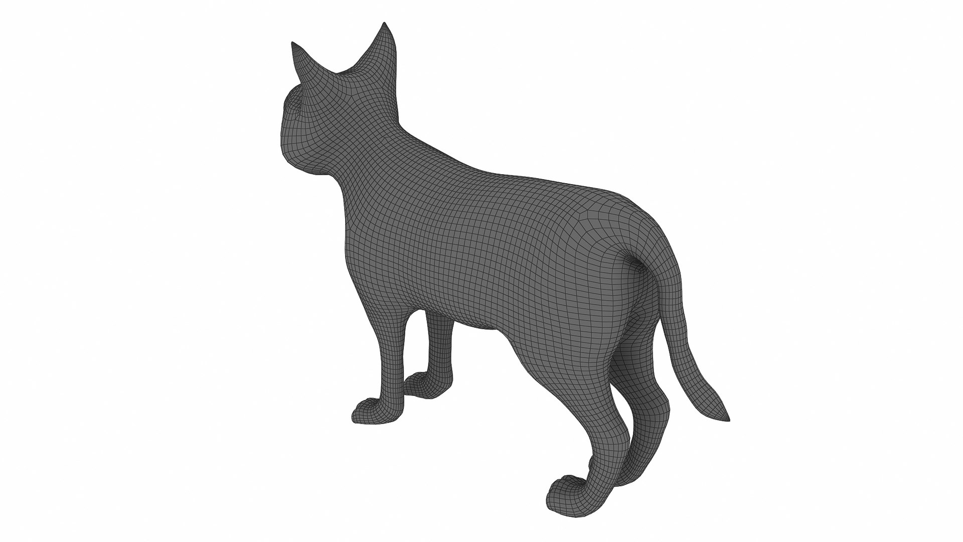 Realistic Cat Fur 3D Model - TurboSquid 1446807