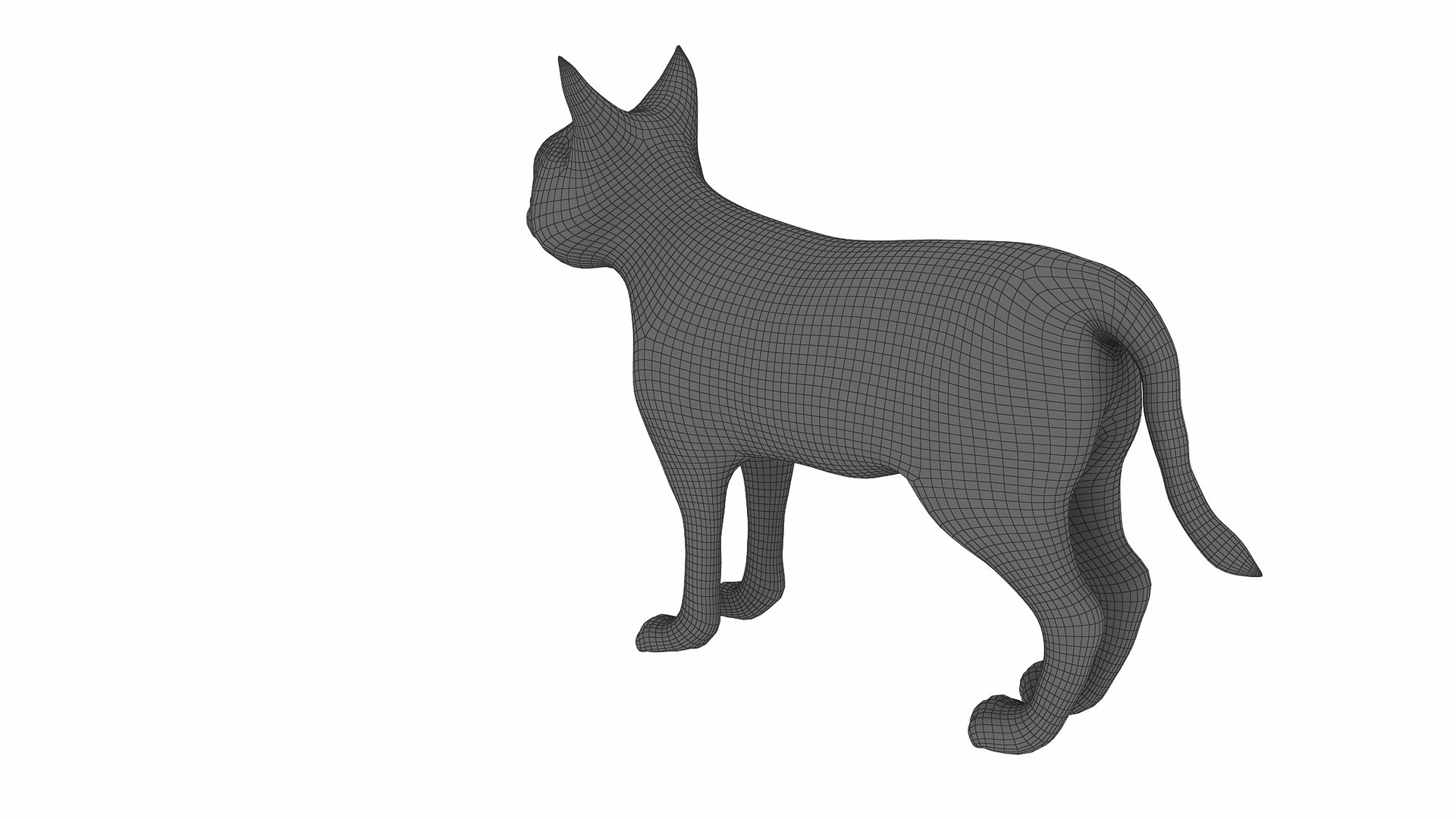 Realistic Cat Fur 3D Model - TurboSquid 1446807