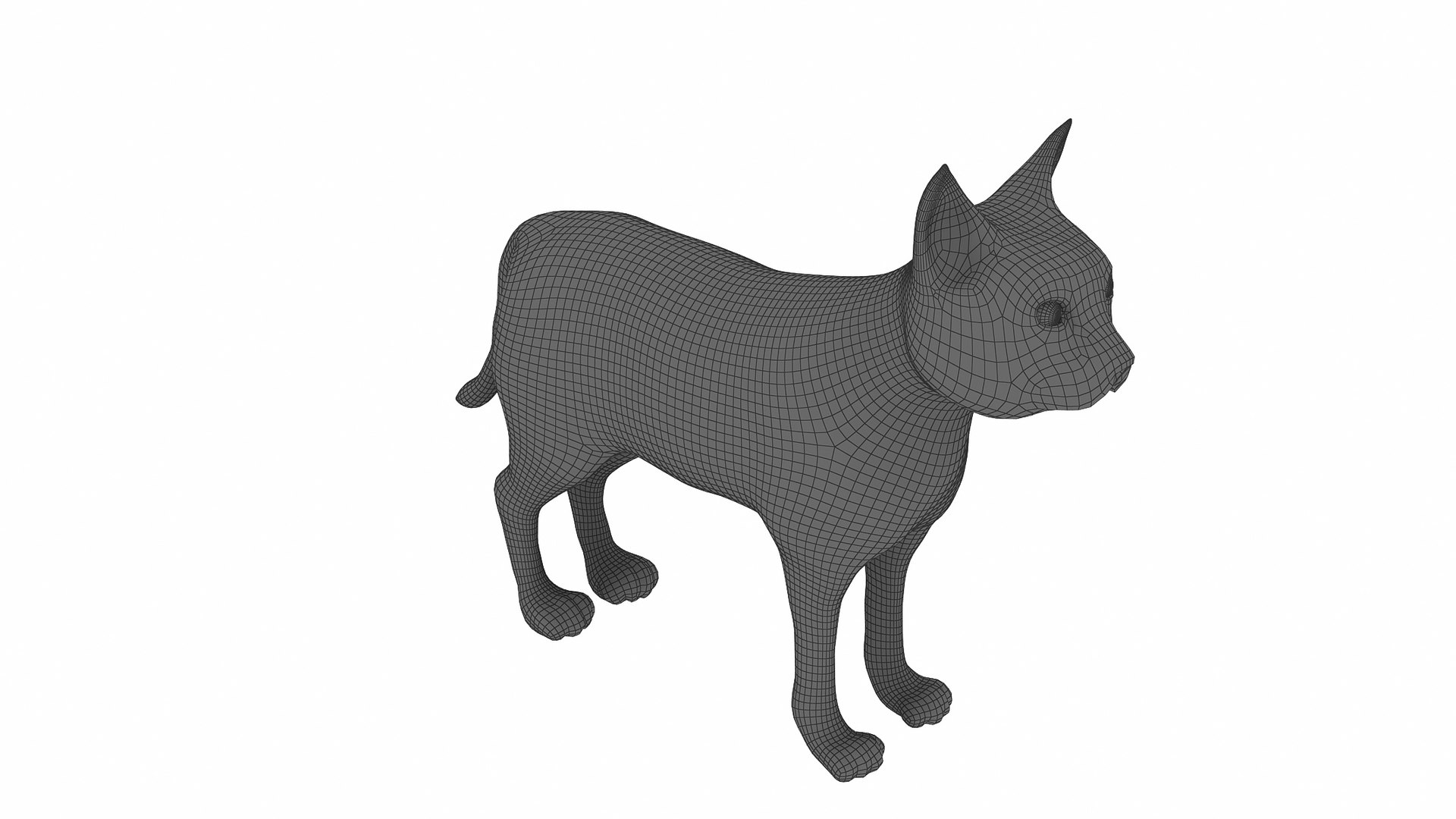 Realistic Cat Fur 3D Model - TurboSquid 1446807