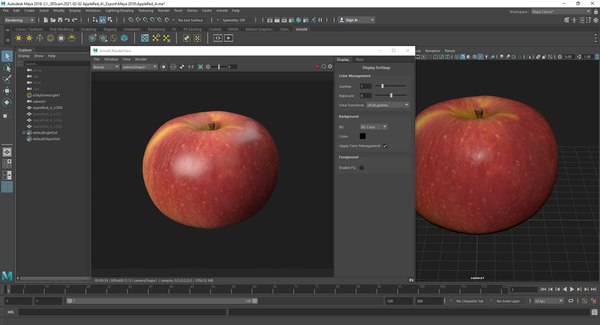 3D red apple scan pbr model - TurboSquid 1693811