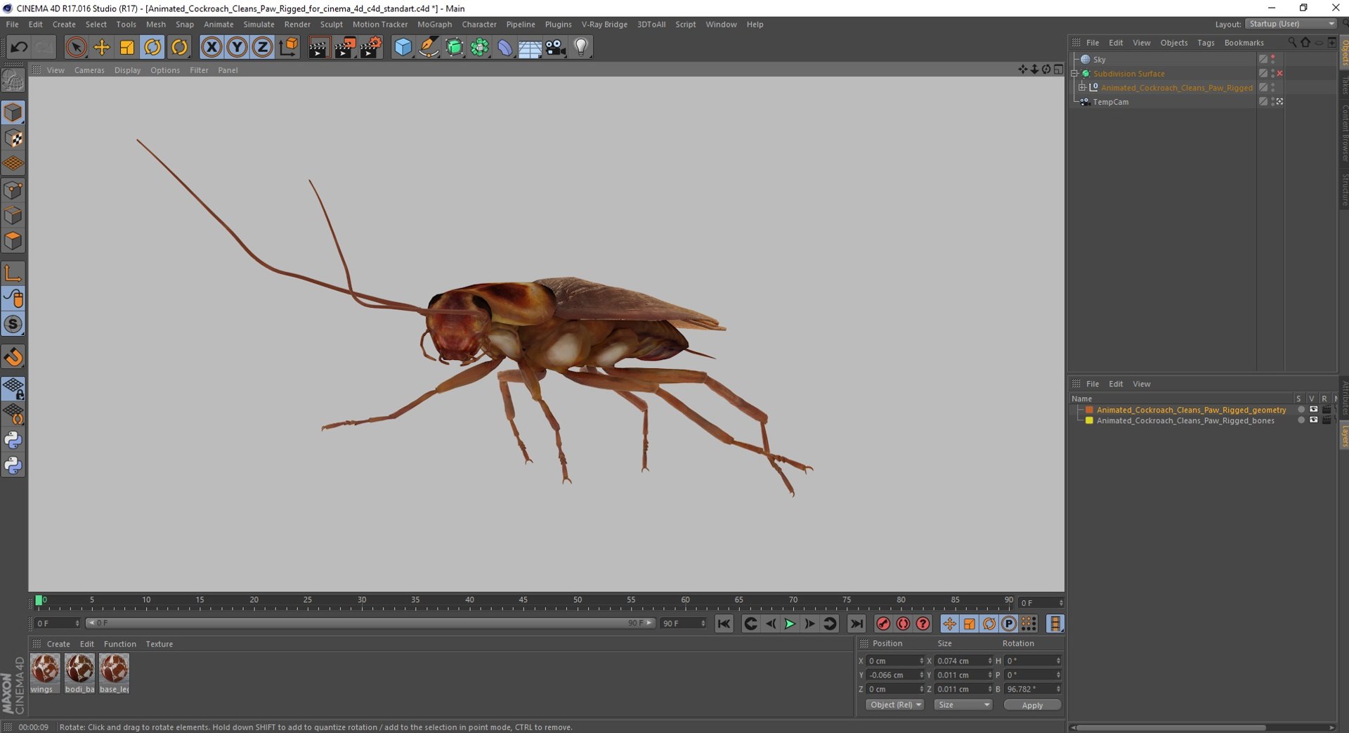 3D Animated Cockroach Cleans Paw Rigged For Cinema 4D Model ...