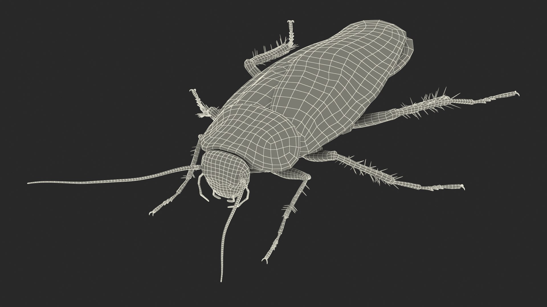 3D Animated Cockroach Cleans Paw Rigged For Cinema 4D Model ...