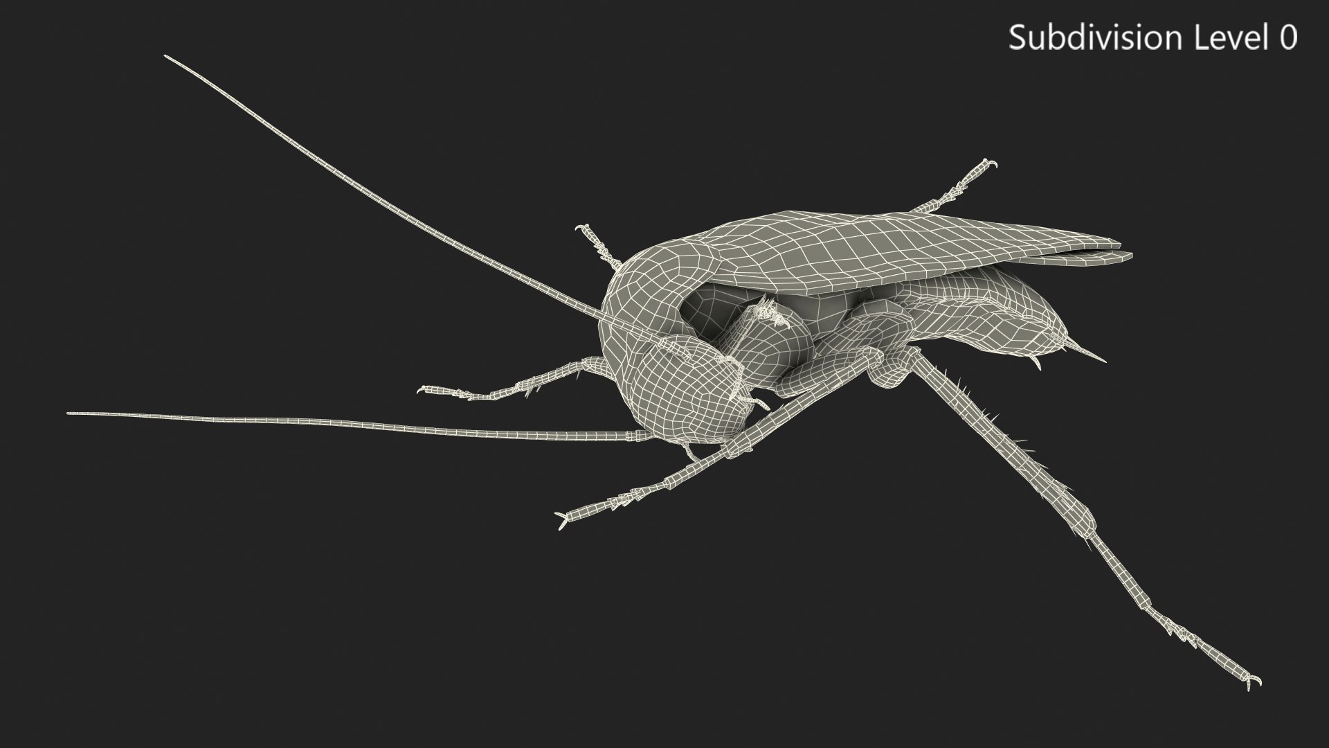 3D Animated Cockroach Cleans Paw Rigged For Cinema 4D Model ...