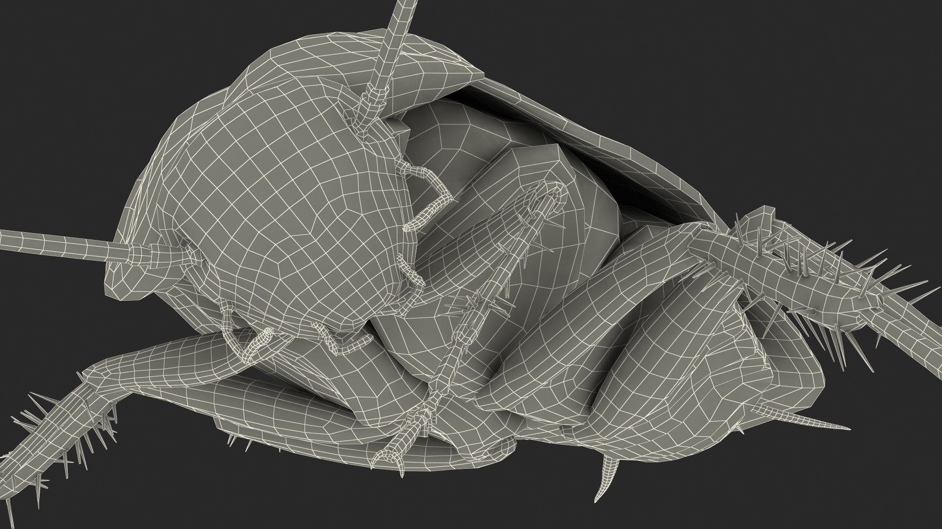 3D Animated Cockroach Cleans Paw Rigged For Cinema 4D Model ...