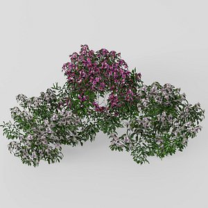 3D Azalea Models - Browse & Download Formats - TurboSquid