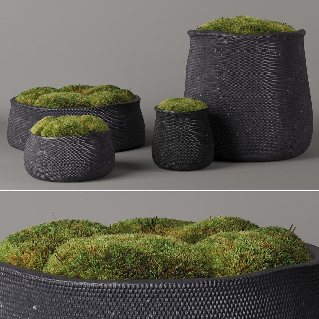 Corona Moss 3D Model - TurboSquid 1502987