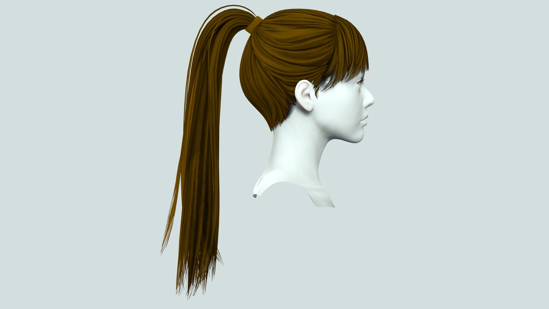 Female Hair - High Ponytail 3D Model - TurboSquid 2225876