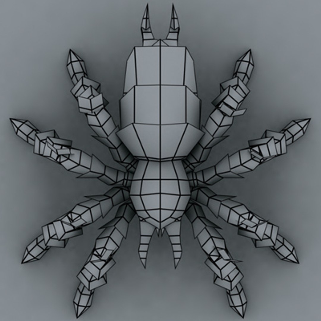 Free Spider Animations 3d Model