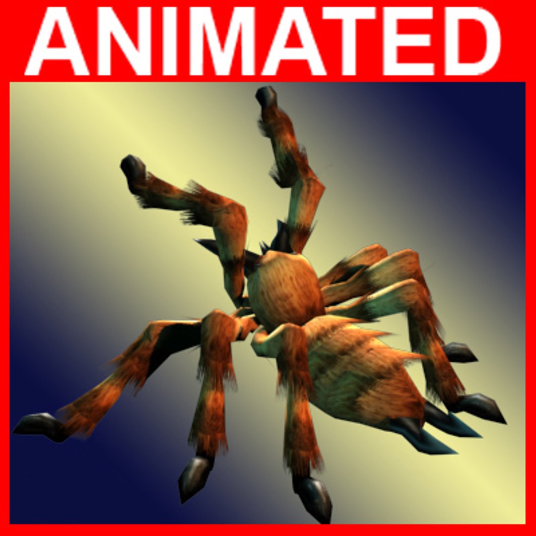 Free Spider Animations 3d Model