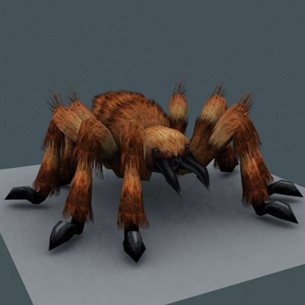 free spider animations 3d model