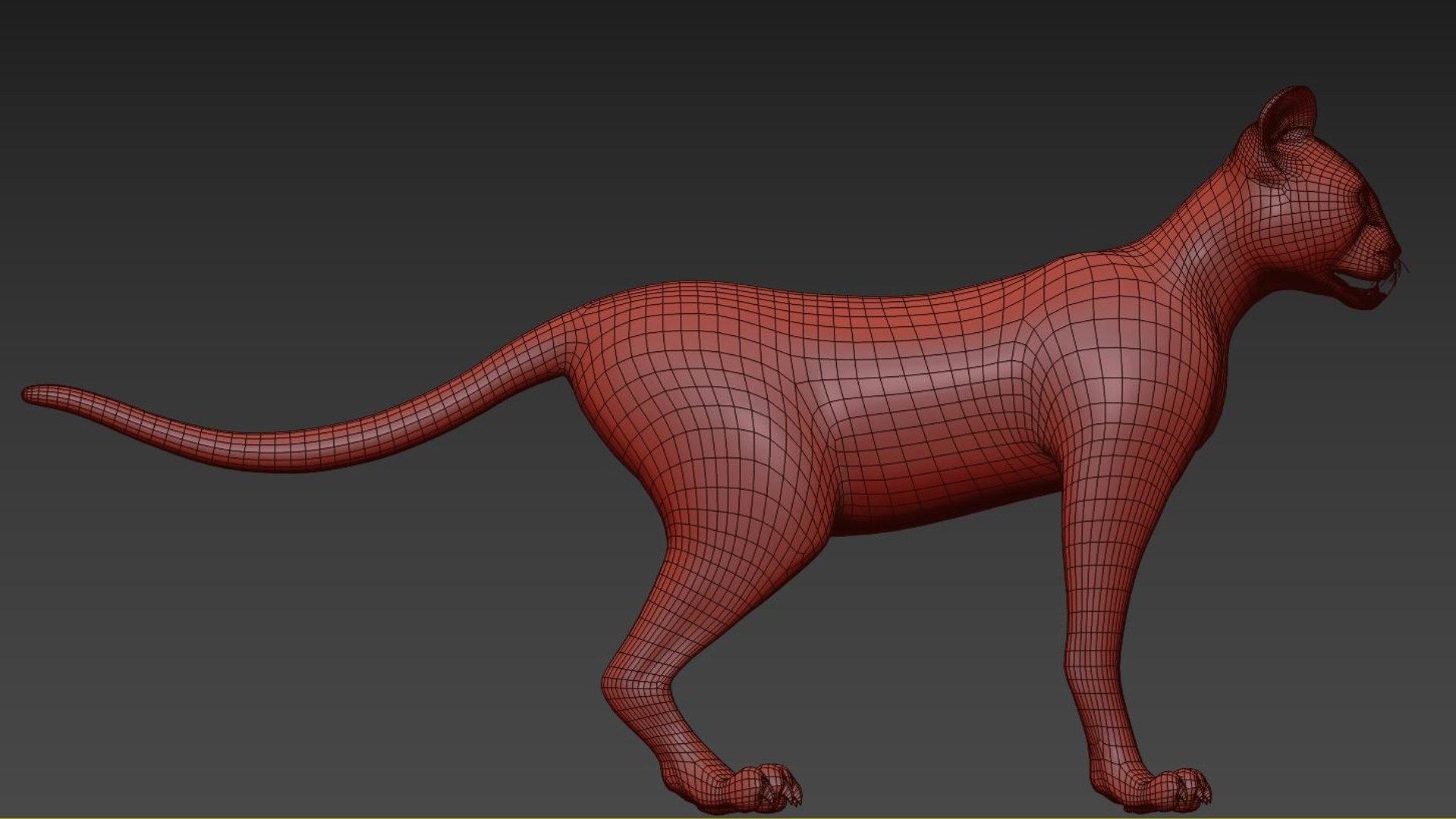 3D model cat - TurboSquid 1237911