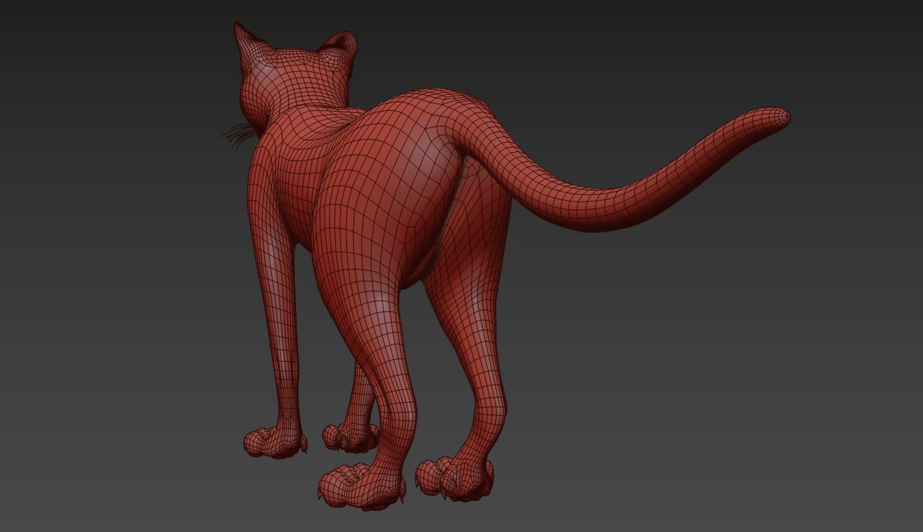 3D model cat - TurboSquid 1237911