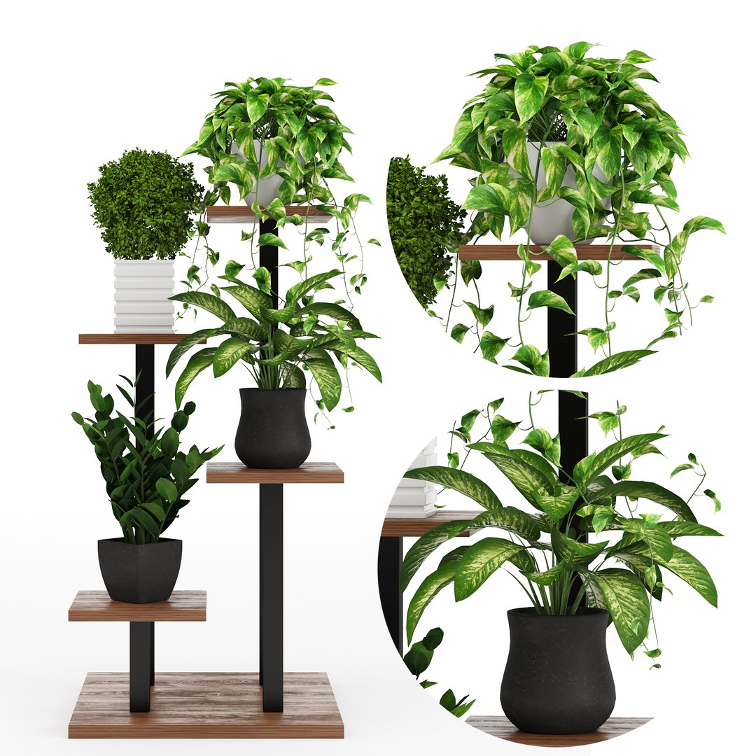 Indoor Plant Stand 02 3D - TurboSquid 2097969