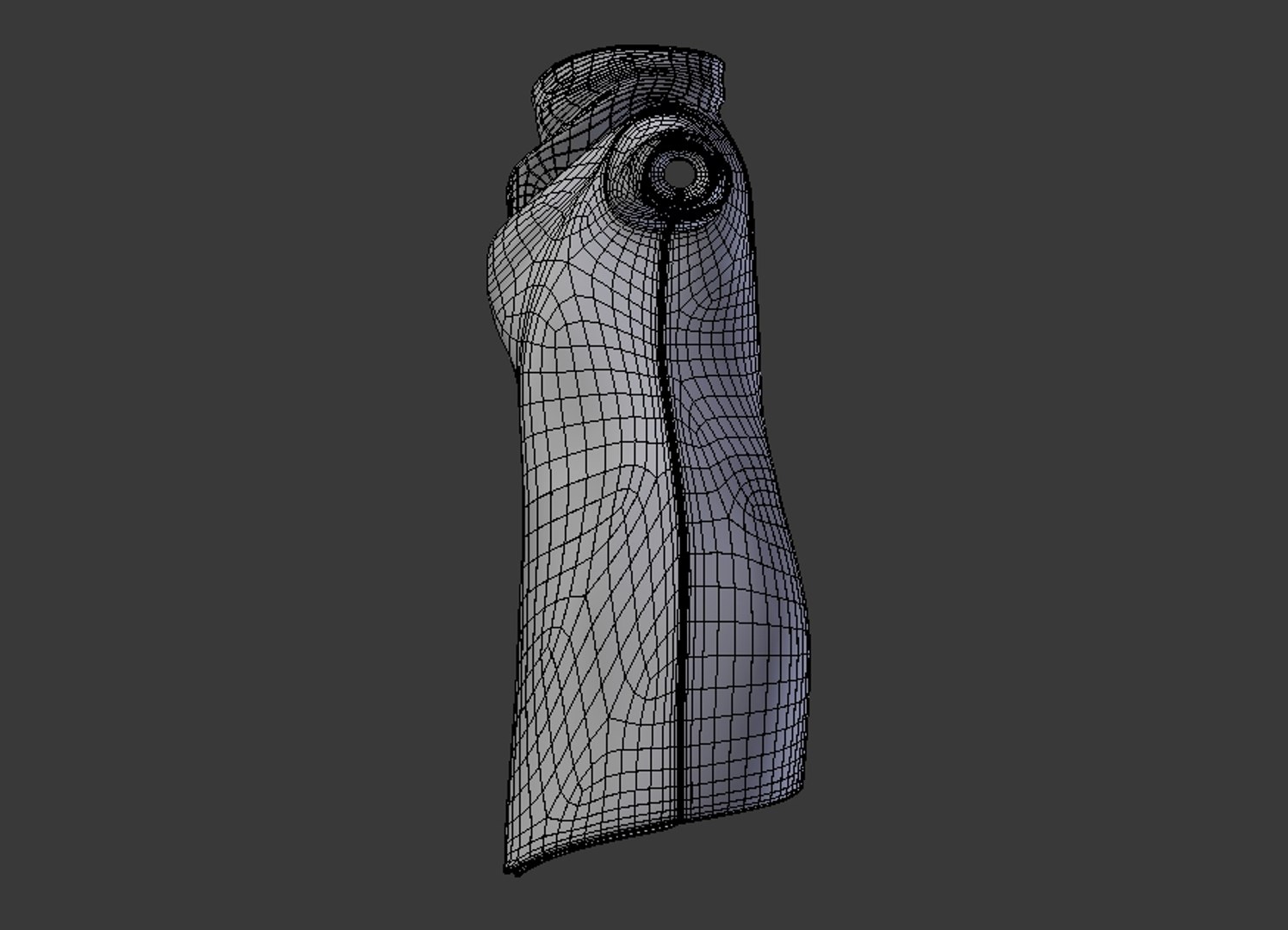 3d Rigged Model