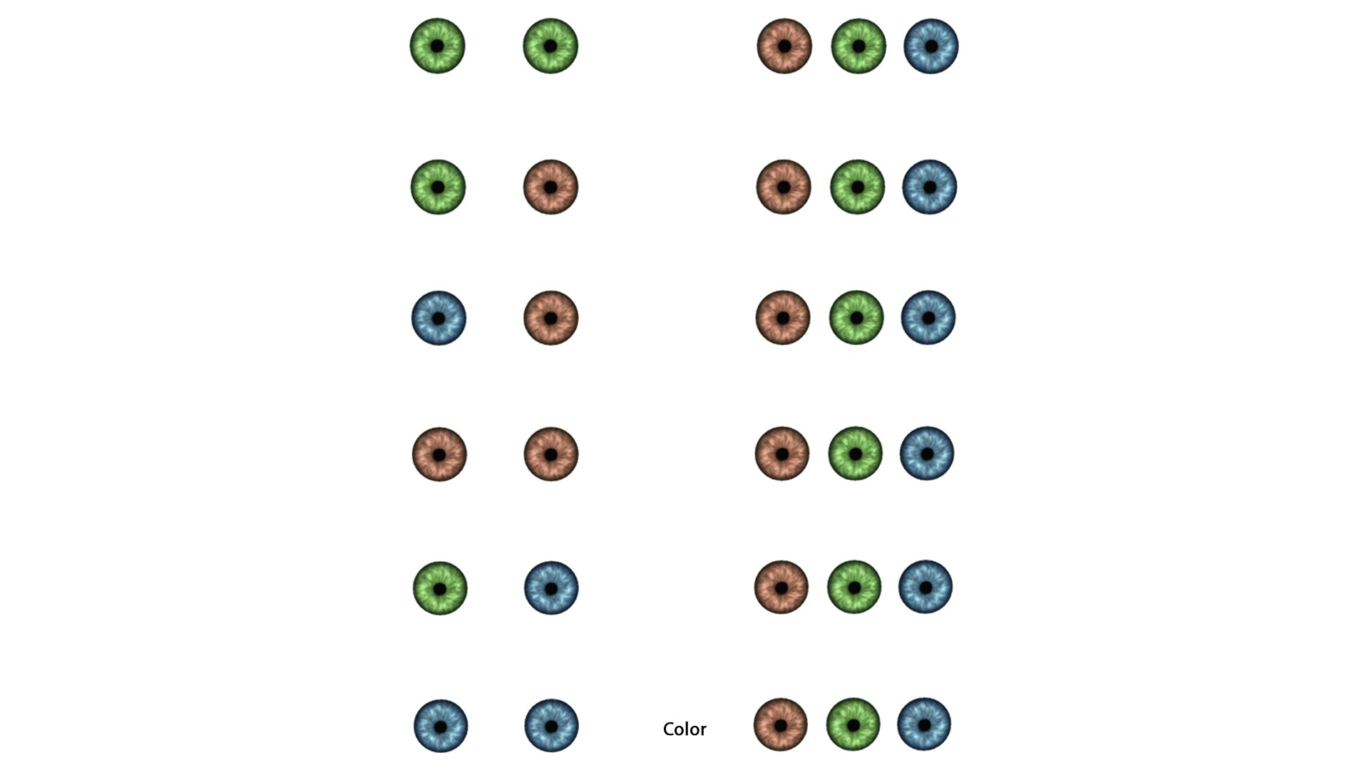 Baby Eye Color Predictor Chart 3D Model - TurboSquid 2503226