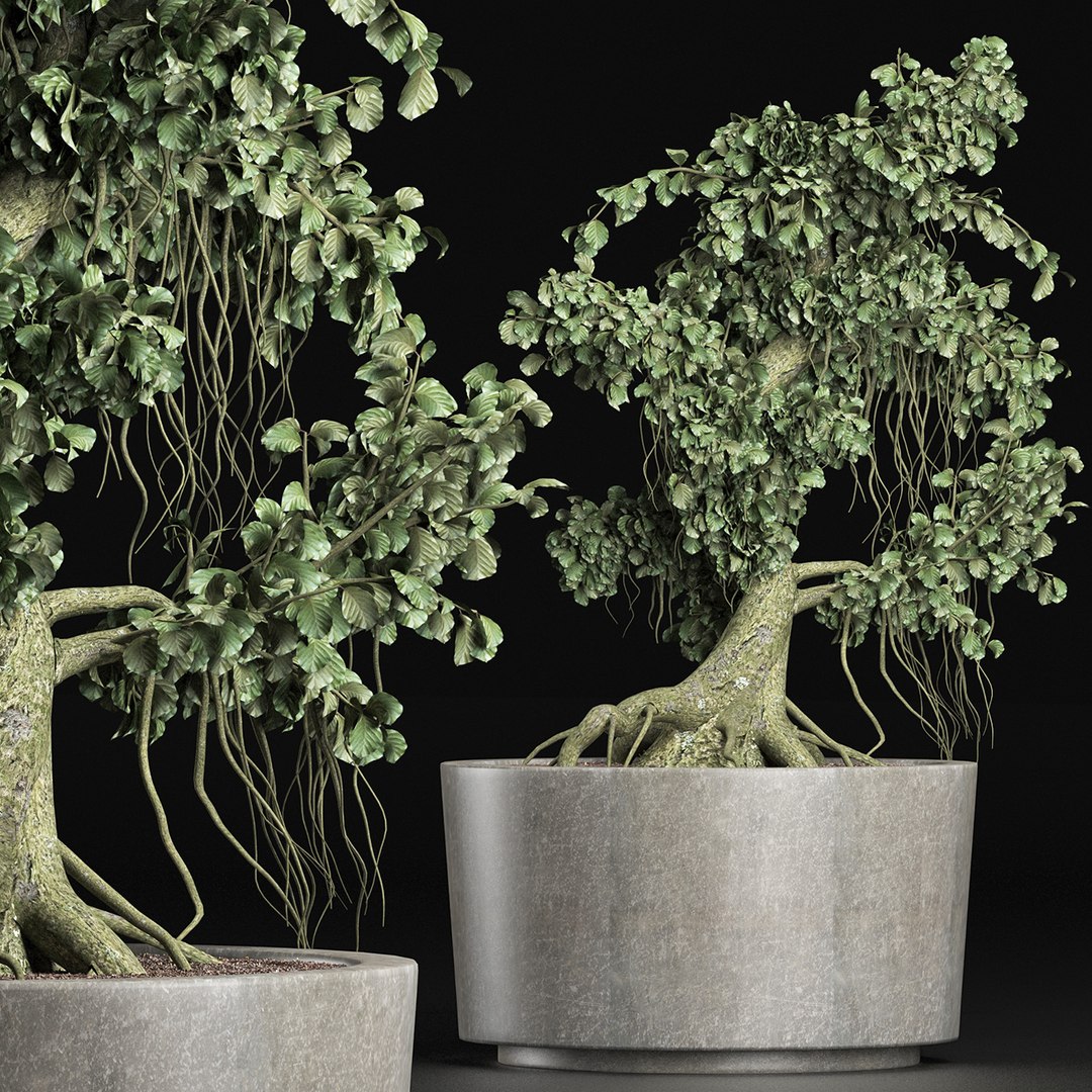 Mini Bonsai Plant Tree 3D Model - TurboSquid 1680776