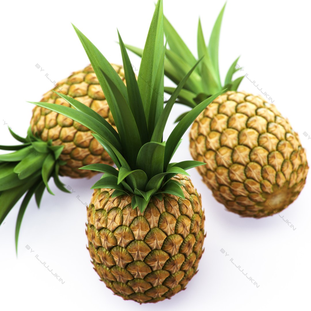 Realistic Pineapple 3d Model