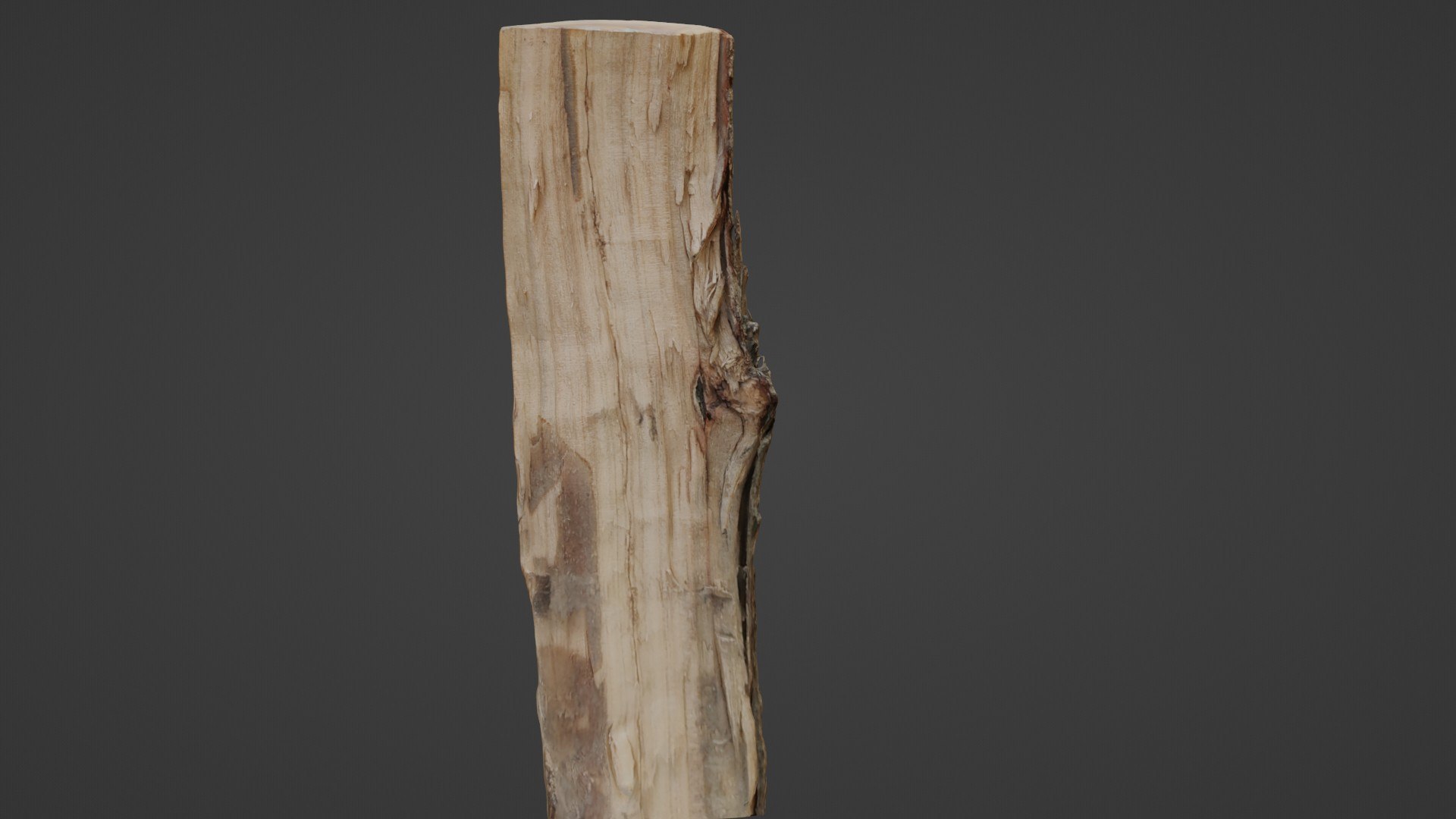 3D Model Scanned Cutted Trunk - TurboSquid 2330067