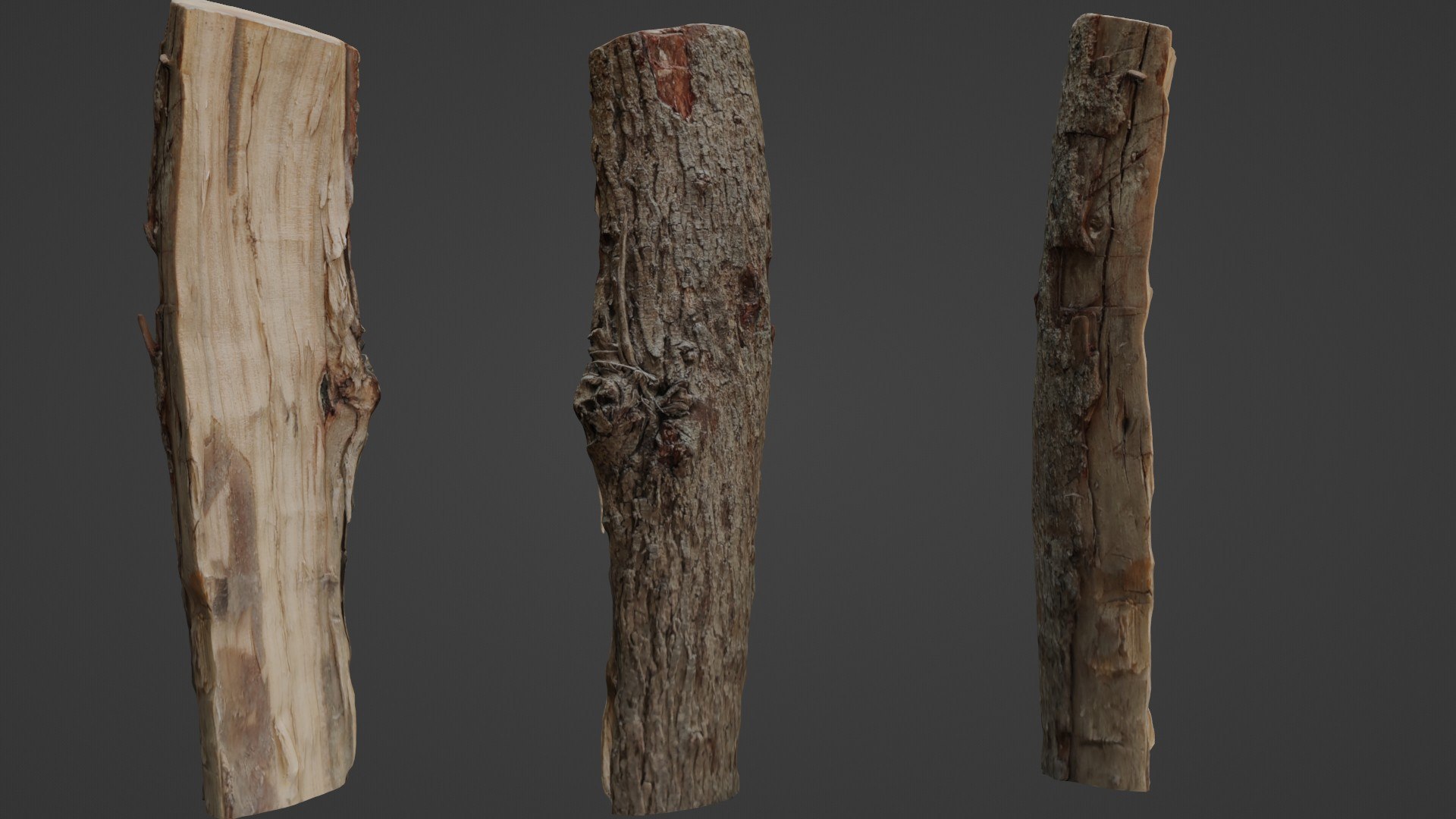 3D Model Scanned Cutted Trunk - TurboSquid 2330067
