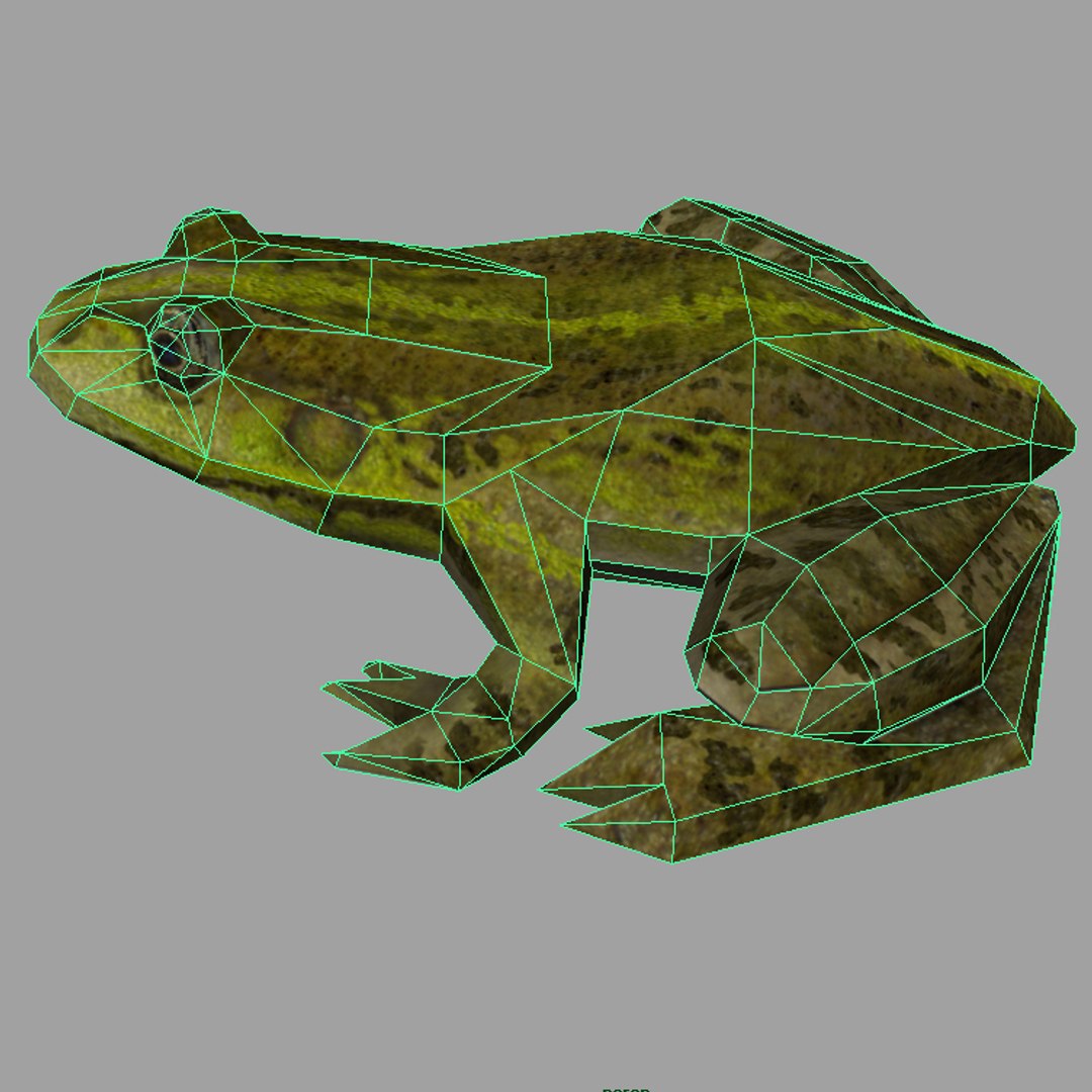 Free 3ds Mode Paper Frog Papermodel